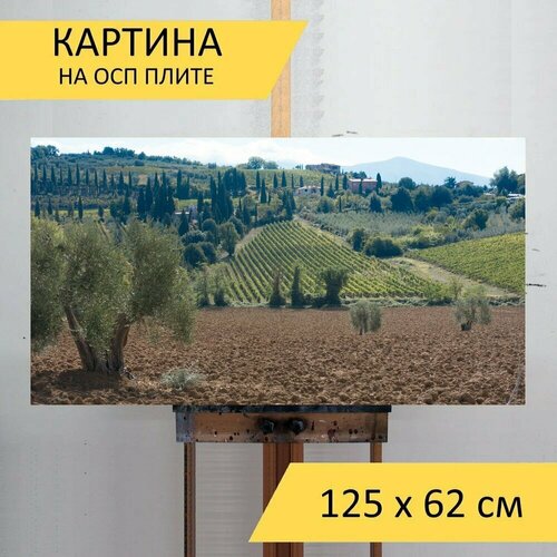 Картина на ОСП 125х62 см. "Оливковая роща, пейзаж, кипарис" горизонтальная, для интерьера, с креплениями