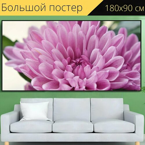 Большой постер "Цветок, цвести, хризантема" 180 x 90 см. для интерьера