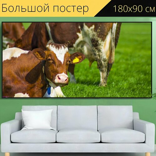Большой постер "Весна, корова, пастбище" 180 x 90 см. для интерьера