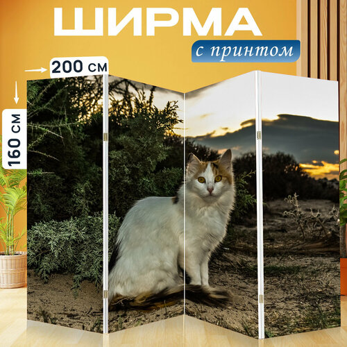 Ширма перегородка с принтом "Кошка, плутать, животное" на холсте - 200x160 см. для зонирования, раскладная