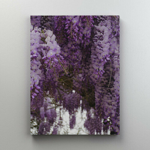 Интерьерная картина на холсте "Ветви цветущей глицинии - фиолетовые цветы" размер 30x40 см