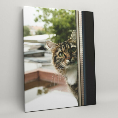 Картина на холсте (интерьерный постер) "Котик в окне" животные, с деревянным подрамником, размер 45x60 см