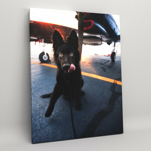 Картина на холсте (интерьерный постер) "Собака" животные с деревянным подрамником, размер 45х60 см