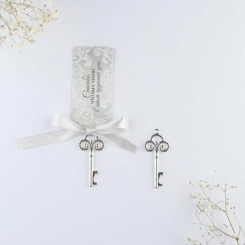 Долго и счастливо Сувенир ключ-открывалка "Подарок гостям", цвет серебро, 6,5 х 0,3 х 2,7 см