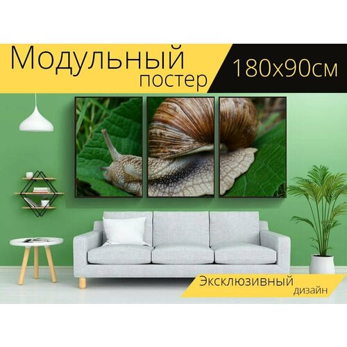 Модульный постер "Улитка, улитки, природа" 180 x 90 см. для интерьера