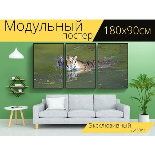 Модульный постер "Тигр, большой кот, вода" 180 x 90 см. для интерьера