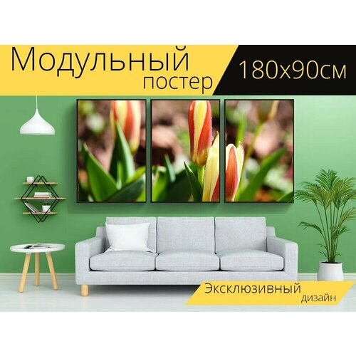Модульный постер "Тюльпаны, апельсин, желтый" 180 x 90 см. для интерьера