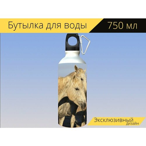Бутылка фляга для воды "Лошадь, белый, лошади" 750 мл. с карабином и принтом