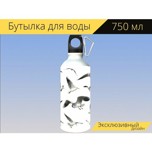 Бутылка фляга для воды "Птицы, чайки, птиц" 750 мл. с карабином и принтом