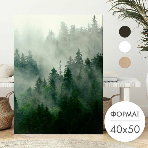 Плакат Постер 40х50 без рамки "Темный лес в дымке" для интерьера