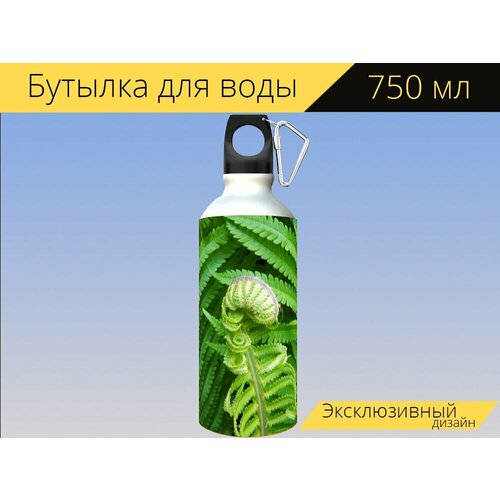 Бутылка фляга для воды "Папоротник, зеленое растение, новый лист в форме улитки" 750 мл. с карабином и принтом