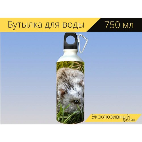 Бутылка фляга для воды "Хомяк, грызун, млекопитающее" 750 мл. с карабином и принтом
