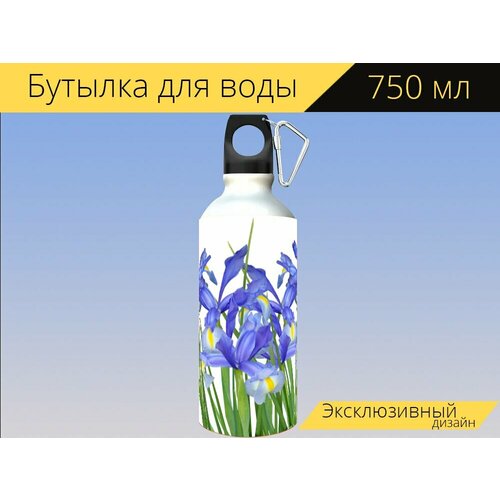 Бутылка фляга для воды "Ирисы, цветы, синие цветы" 750 мл. с карабином и принтом