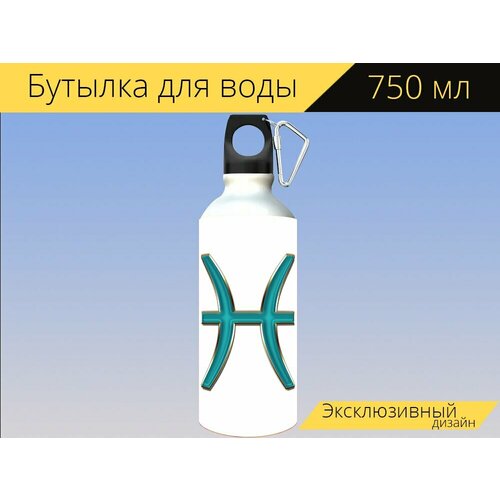 Бутылка фляга для воды "Рыбы, гороскоп, астрология" 750 мл. с карабином и принтом