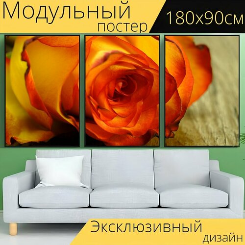 Модульный постер "Роза, романтика, любовь" 180 x 90 см. для интерьера