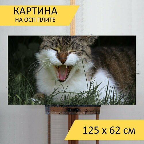 Картина на ОСП 125х62 см. "Кот, домашнее животное, домашняя кошка" горизонтальная, для интерьера, с креплениями
