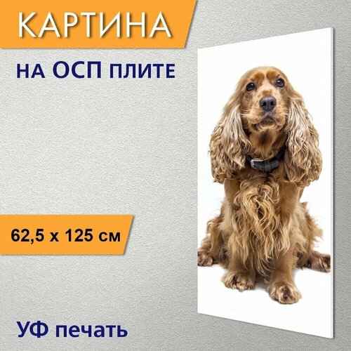 Вертикальная картина на ОСП "Собаки, кокер спаниель, спаниель" 62x125 см. для интерьериа