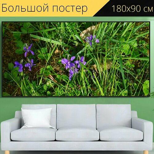Большой постер "Лесные фиалки, фиолетовый, цветок" 180 x 90 см. для интерьера