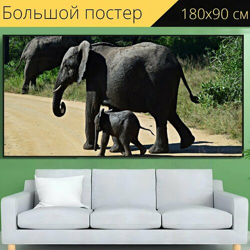 Большой постер "Слоны, молодой, дикая природа" 180 x 90 см. для интерьера