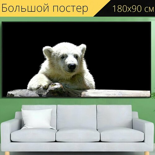 Большой постер "Белый медведь ребенок, молодой полярный медведь, улыбка" 180 x 90 см. для интерьера