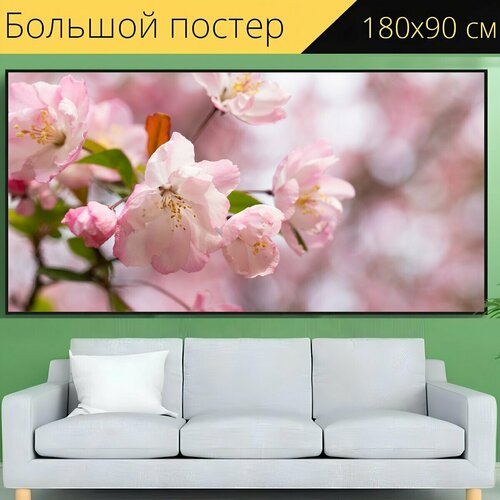 Большой постер "Яблоневый цвет, цветы, весна" 180 x 90 см. для интерьера