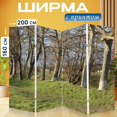 Ширма перегородка с принтом "Весна, лес, дорожка" на холсте - 200x160 см. для зонирования, раскладная