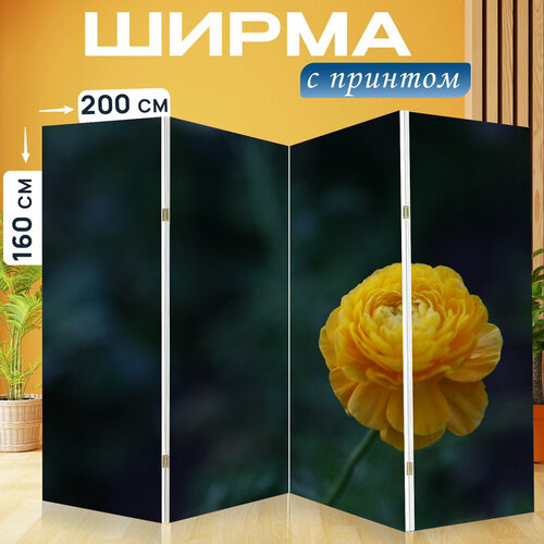 Ширма перегородка с принтом "Цветок, желтый цветок, один цветок" на холсте - 200x160 см. для зонирования, раскладная