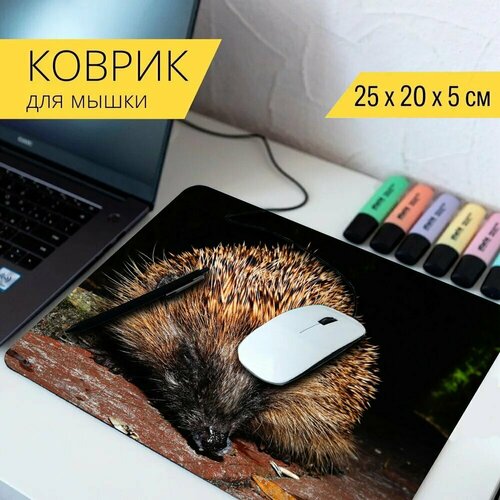 Коврик для мыши с принтом "Ежик, детеныш, колючий" 25x20см.