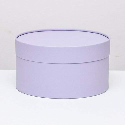Подарочная коробка "Frilly" бледно-фиолетовая, завальцованная без окна, 21 х 11 см (комплект из 4 шт)