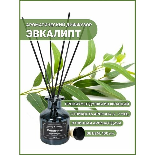 Ароматический диффузор "Эвкалипт" с палочками / для дома и интерьера / 100 мл.