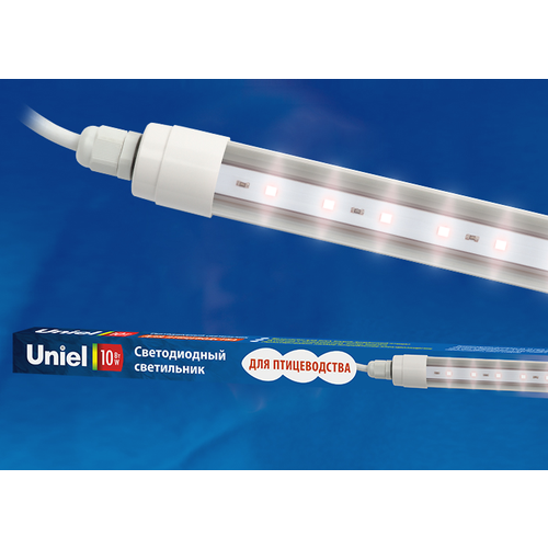 Светодиодный светильник для птицеводства Uniel ULY-P60-10W/SCEP/K IP65 DC24V WHITE UL-00001695