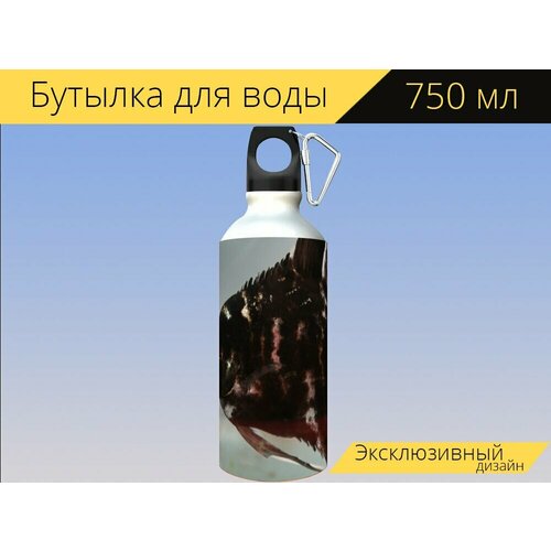 Бутылка фляга для воды "Рыбы, чернить, бак рыб" 750 мл. с карабином и принтом