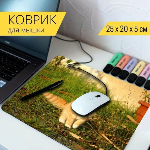 Коврик для мыши с принтом "Кот, котенок, кошка ребенок" 25x20см.