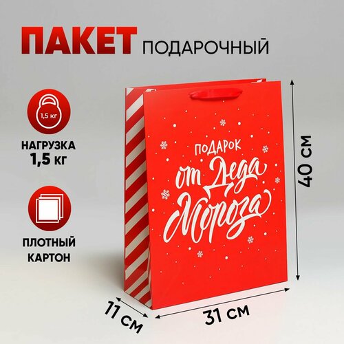 Пакет ламинированный подарочный «Подарок от Деда Мороза», 31 × 40 × 11 см