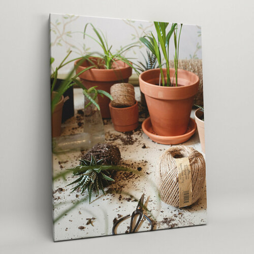 Картина на холсте (интерьерный постер) "Домашние растения в горшках", с деревянным подрамником, размер 30x40 см