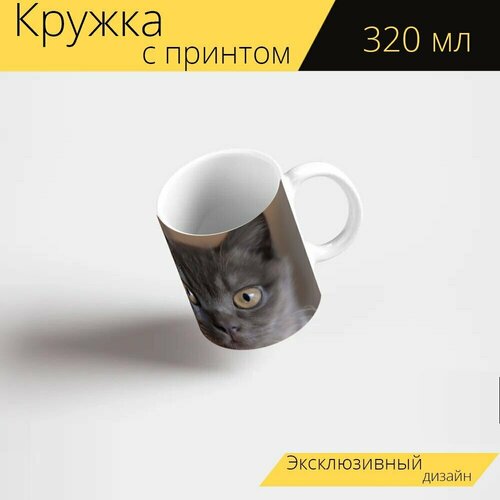 Кружка с рисунком, принтом "Британская короткошерстная кошка, кошка, котенок" 320 мл.