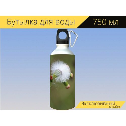 Бутылка фляга для воды "Цветок, цветы, природа" 750 мл. с карабином и принтом