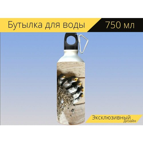 Бутылка фляга для воды "Ласточки, птичье гнездо, животное" 750 мл. с карабином и принтом