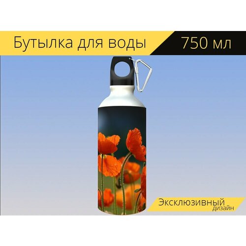 Бутылка фляга для воды "Оранжевые цветы, цветы, блум" 750 мл. с карабином и принтом