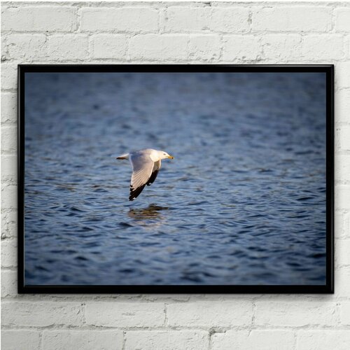 Постер "Птица над водой" Cool Eshe из коллекции "Природа", плакат А3