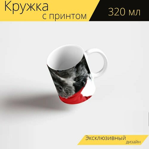 Кружка с рисунком, принтом "Собака, миниатюрный пудель, пудель" 320 мл.