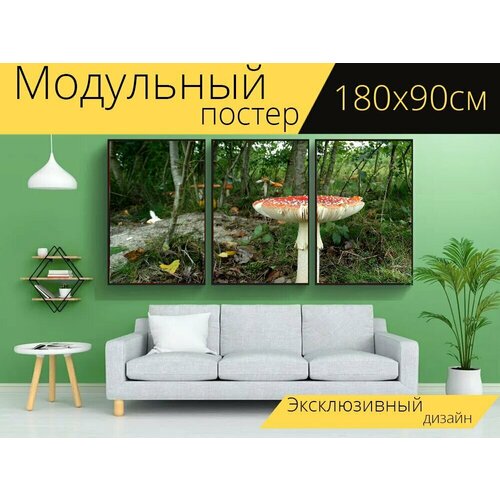 Модульный постер "Мухомор, гриб, лес" 180 x 90 см. для интерьера
