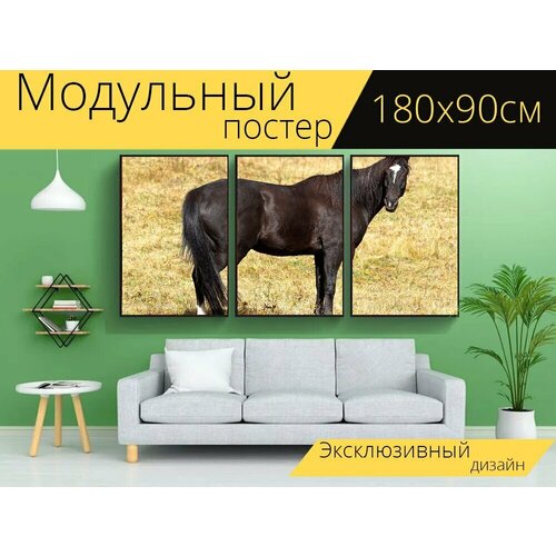 Модульный постер "Жеребец, лошадь, коричневый" 180 x 90 см. для интерьера