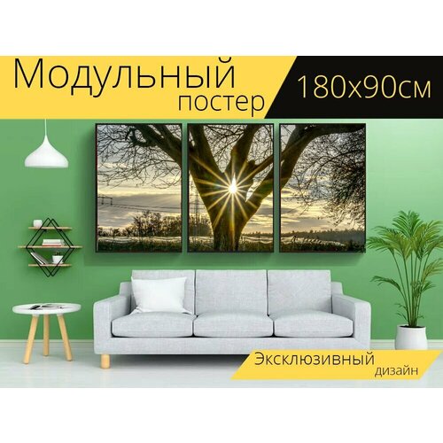 Модульный постер "Дерево, подсветка, солнце" 180 x 90 см. для интерьера
