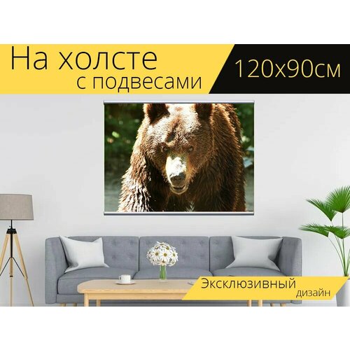 Картина на холсте "Медведь, бурый медведь, зоопарк" с подвесами 120х90 см. для интерьера