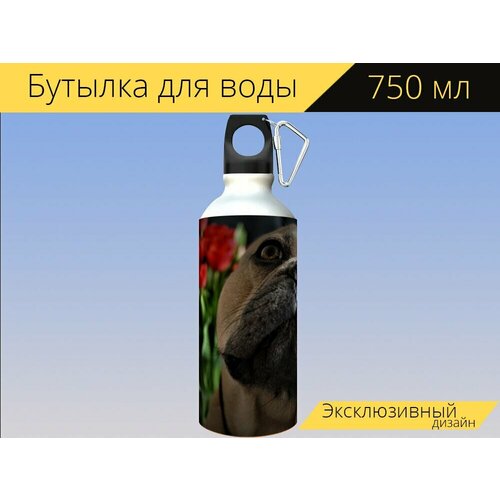 Бутылка фляга для воды "Французский бульдог, собака, тюльпаны" 750 мл. с карабином и принтом
