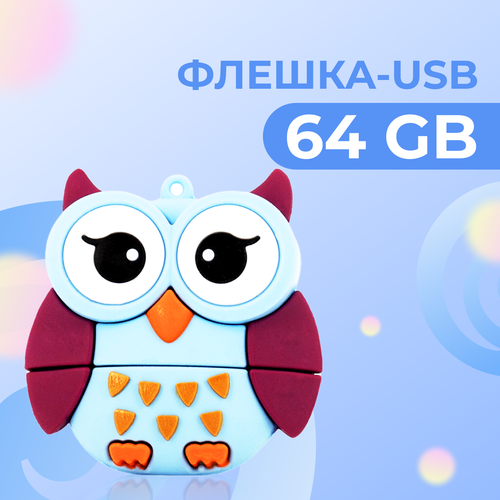 USB Флешка Pastila 64 GB для файлов и музыки / USB Flash накопитель / Подарочная ЮСБ флеш пямять для ноутбука, телевизора / Сова голубая