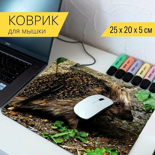 Коврик для мыши с принтом "Еж, улыбающийся ежик, сад" 25x20см.