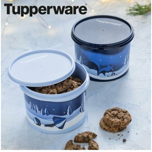 Набор контейнеров "Зимняя сказка" 1.1л 2шт Tupperware