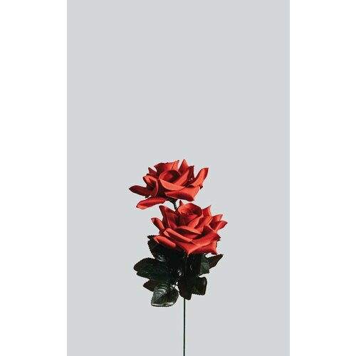 Картина на холсте 60x110 LinxOne "Роза, цветок, минимализм" интерьерная для дома / на стену / на кухню / с подрамником